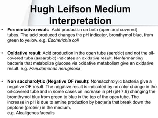Sugar fermentation tests, Cetrimide agar medium, Hugh Leifson medium | PPTX