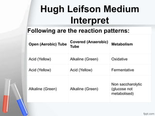 Sugar fermentation tests, Cetrimide agar medium, Hugh Leifson medium | PPTX