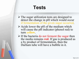 Sugar fermentation tests, Cetrimide agar medium, Hugh Leifson medium | PPTX