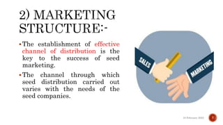 Seed Marketing & Industry presentation.pptx