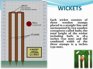 cricket ppt | PPTX