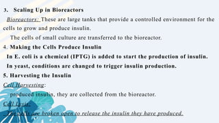 Harmone insulin production in industry using Microbes | PPTX