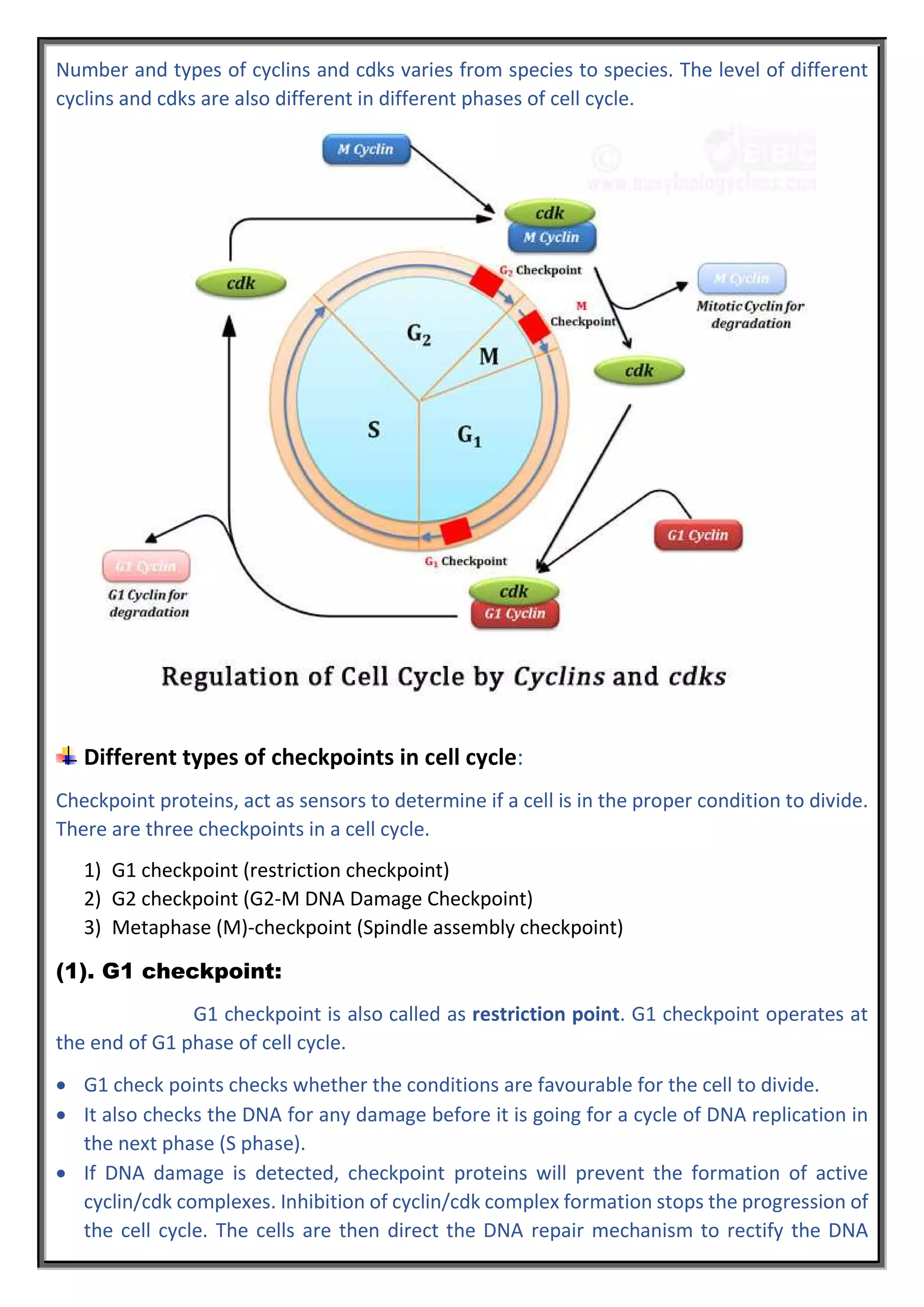 cell division & physiology of cell division | PDF