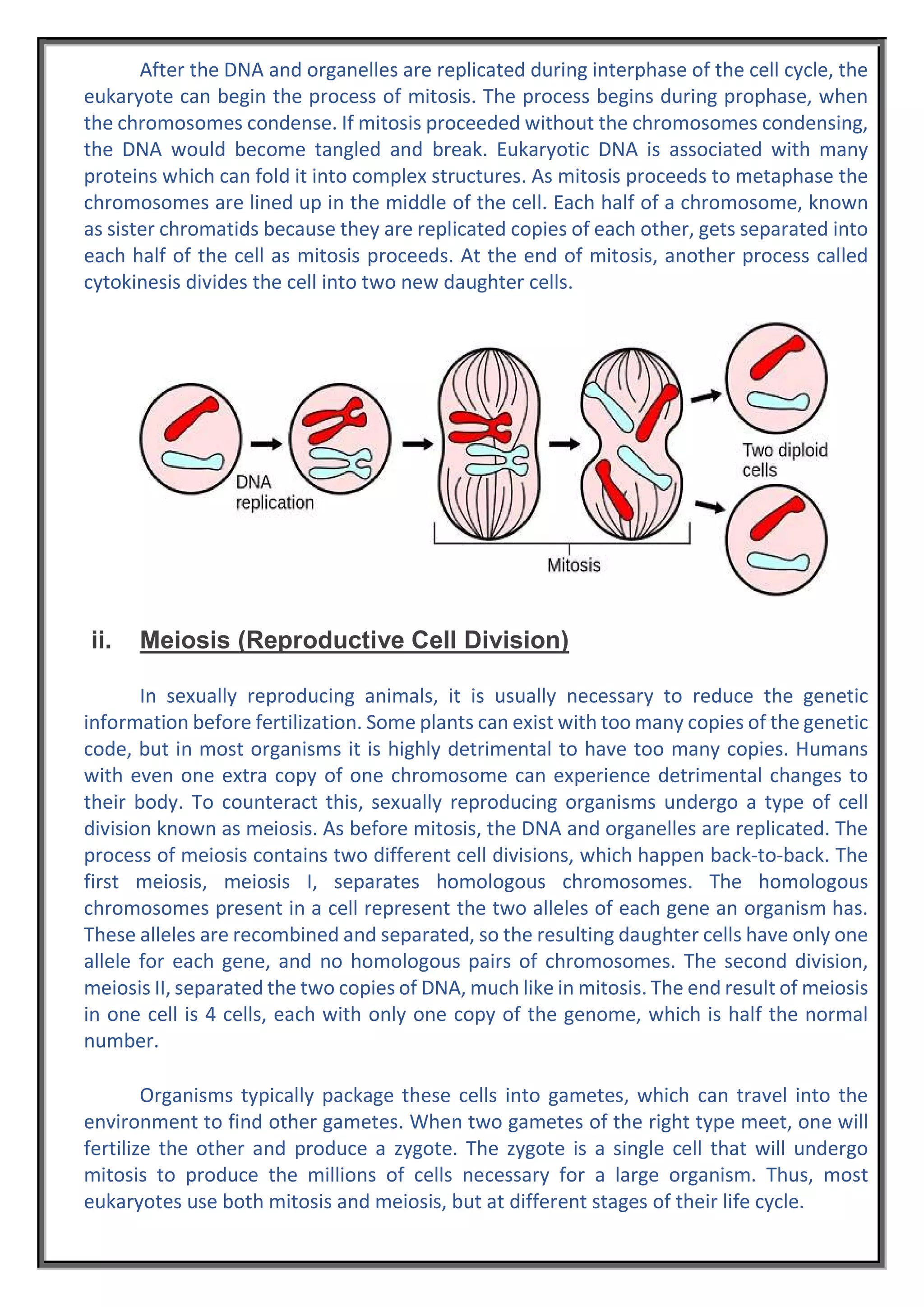 cell division & physiology of cell division | PDF