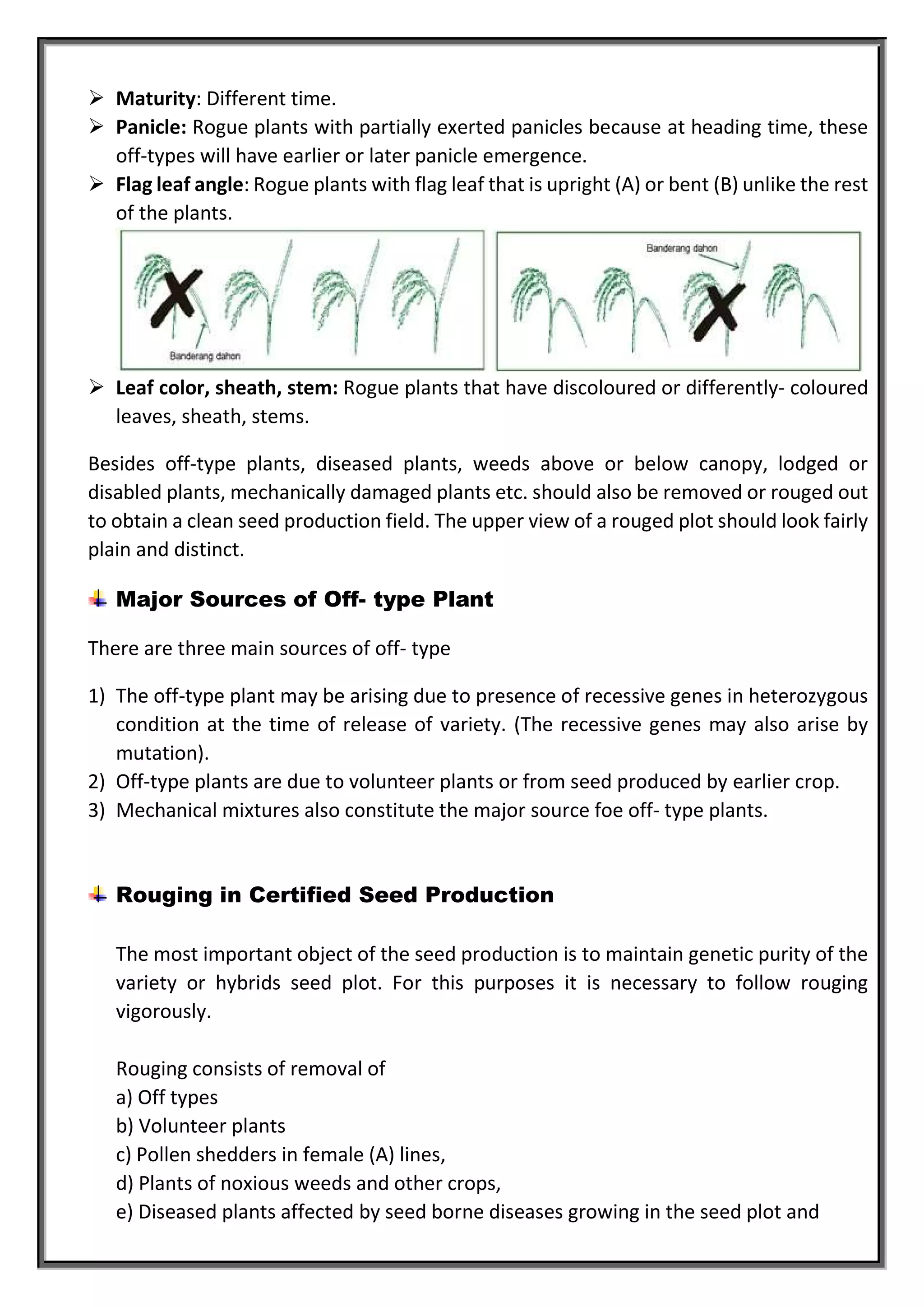 Rouging and its significance | PDF