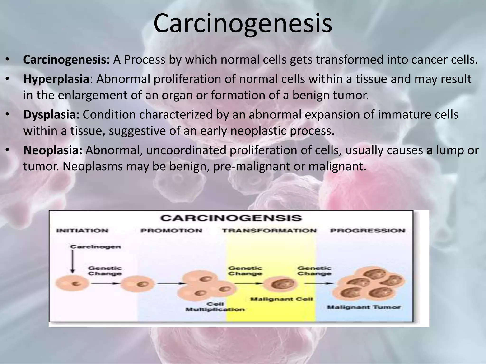cancer intro and pathogenesis | PPT | Free Download