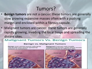 cancer intro and pathogenesis | PPTX