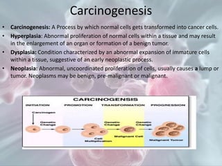 cancer intro and pathogenesis | PPT | Free Download