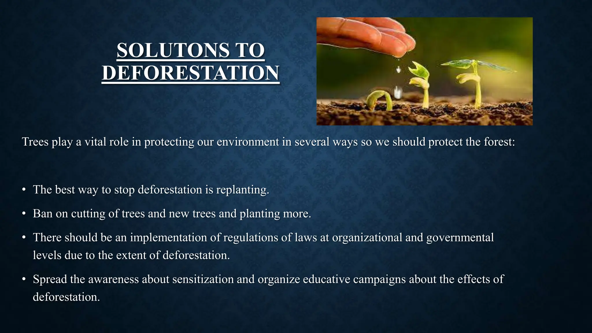 Causes and effects of deforestation and solutions of deforestation | PPT