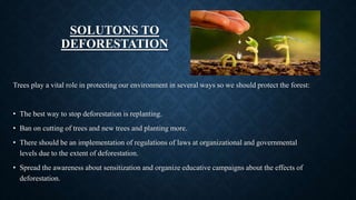 Causes and effects of deforestation and solutions of deforestation | PPT