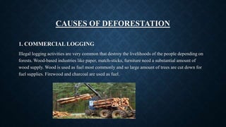 Causes and effects of deforestation and solutions of deforestation | PPT