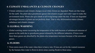 Causes and effects of deforestation and solutions of deforestation | PPTX