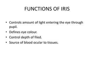 shivani pg scholar.pptx