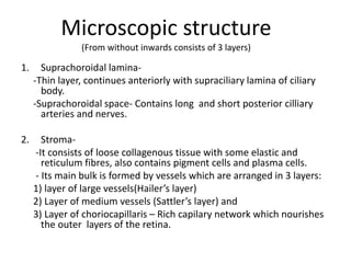 shivani pg scholar.pptx