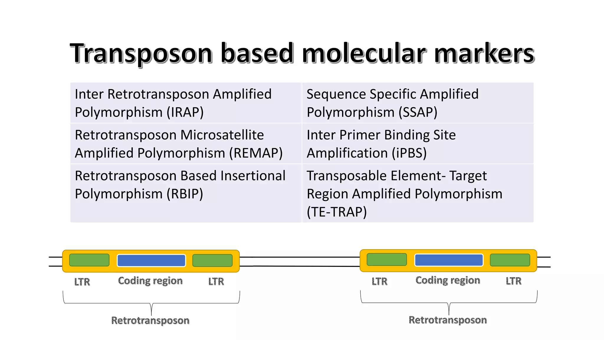 TRANSPOSONS | PPTX