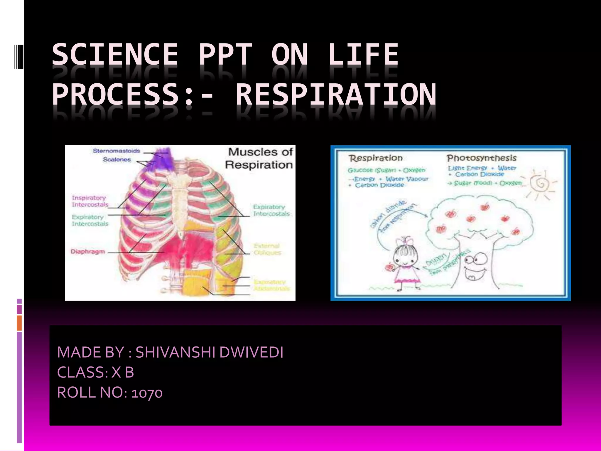 respiration science ppt by shivanshi dwivedi | PPT