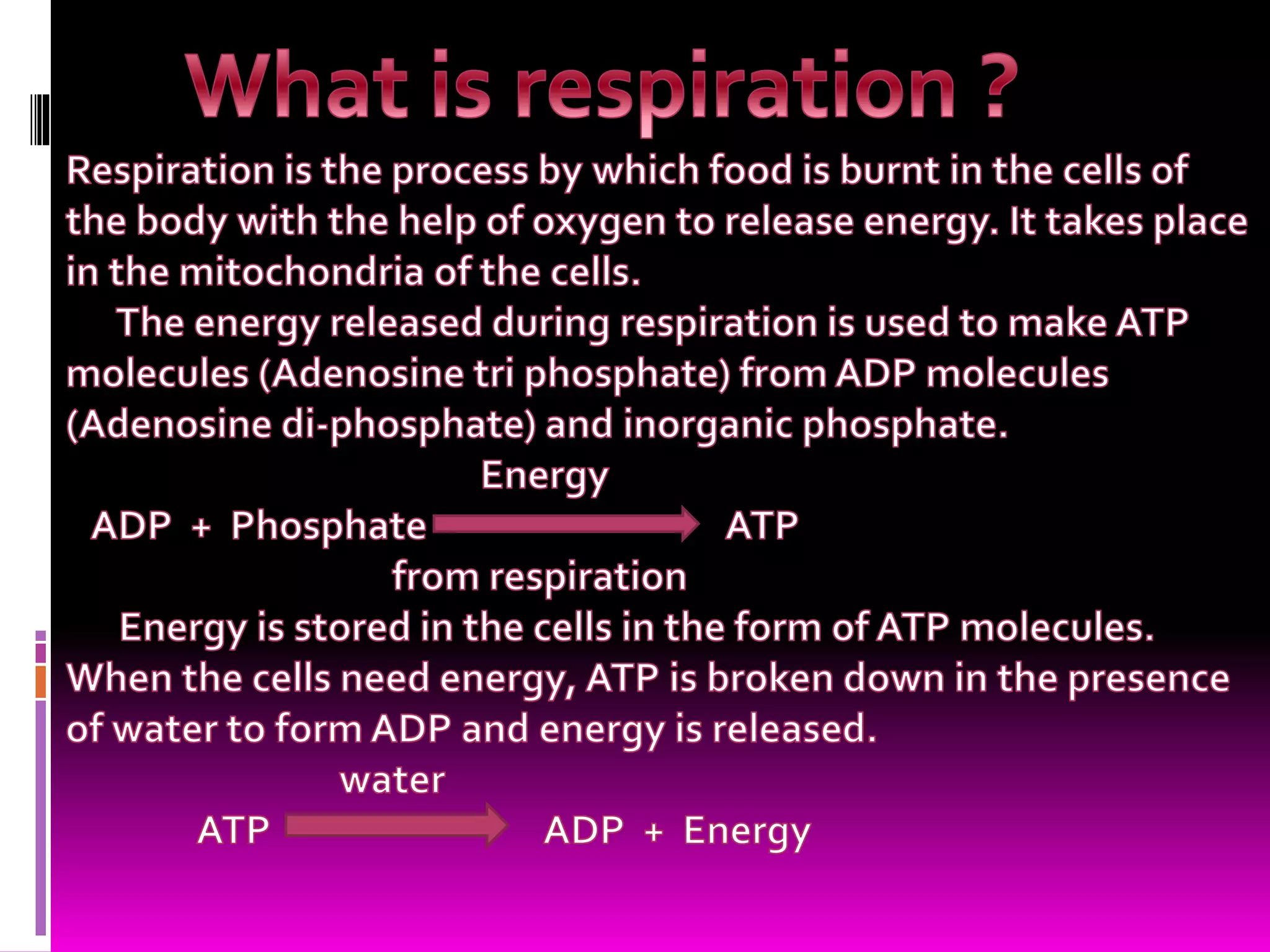 Respiration Science Ppt By Shivanshi Dwivedi Pptx