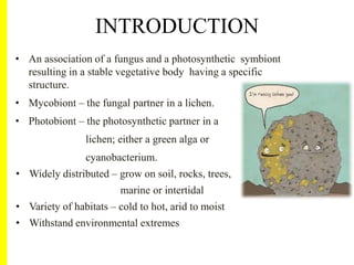 Shivanshi tyagi lichen | PPT