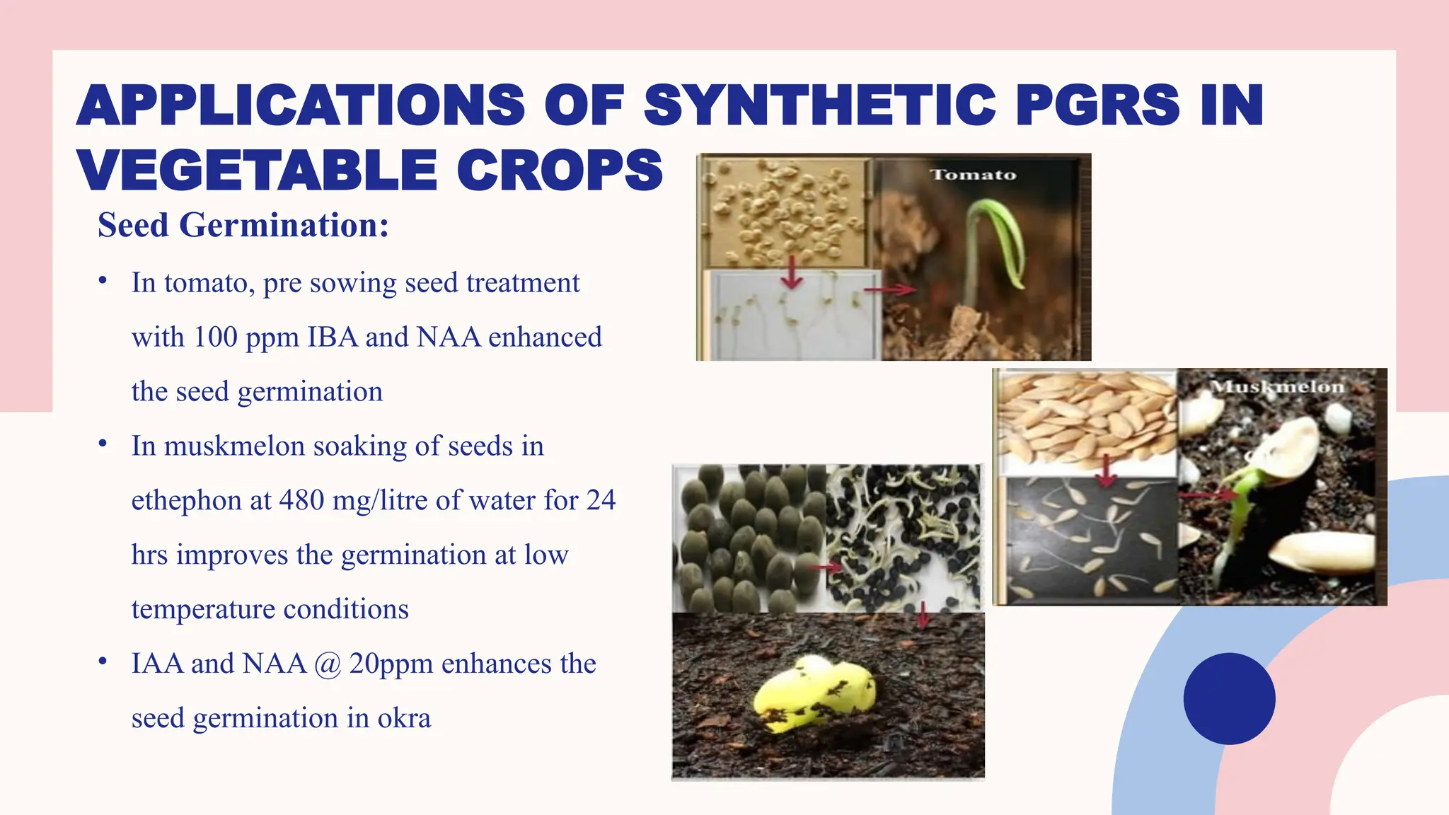 SHIVA PPT.pptx Applications of Synthetic Plant Growth Regulators | PPTX
