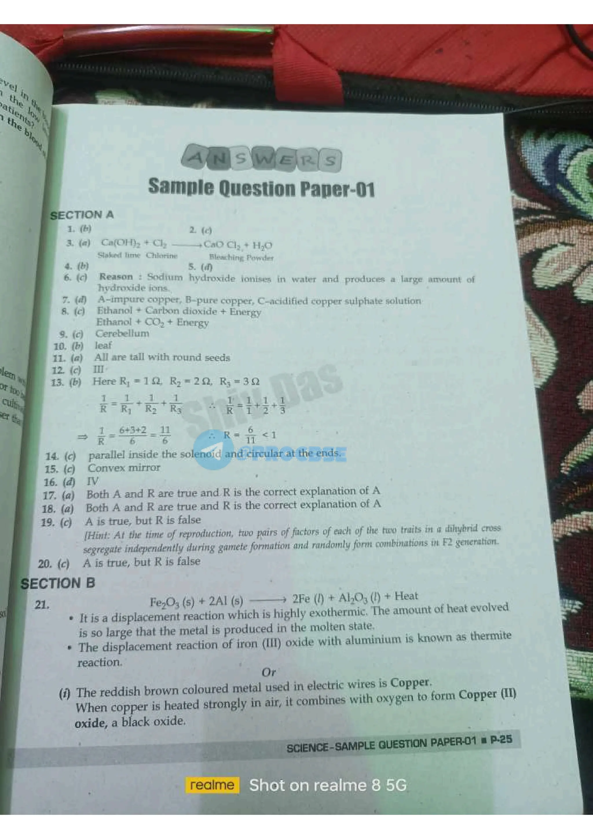 ShivDas Science SQP Class 10th by SIRCBSE (1).pdf