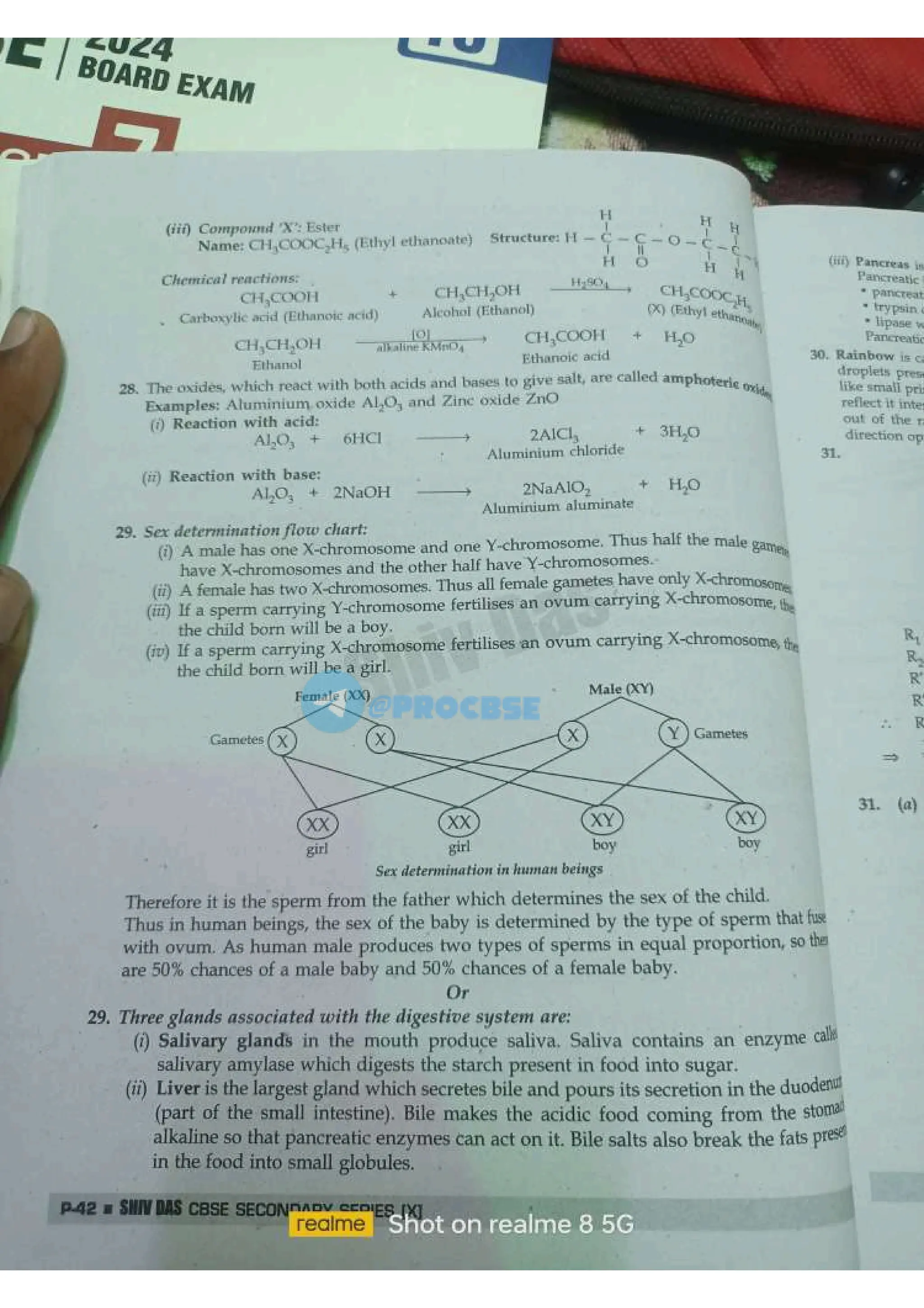 ShivDas Science SQP Class 10th by SIRCBSE (1).pdf