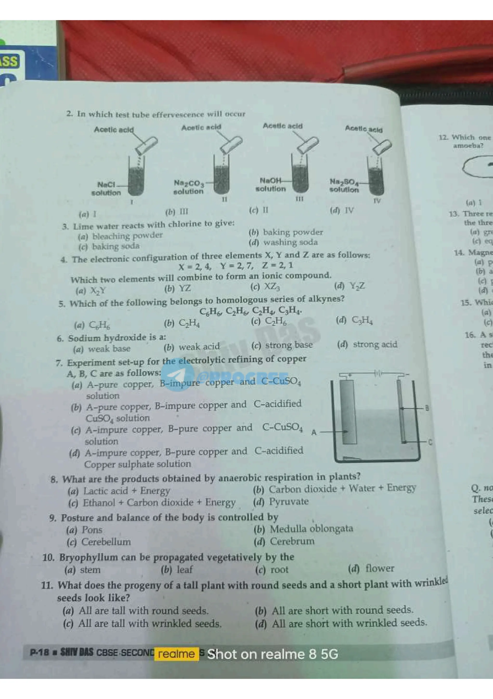 ShivDas Science SQP Class 10th by SIRCBSE (1).pdf