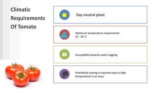 Experiential Learning Programme | PPTX