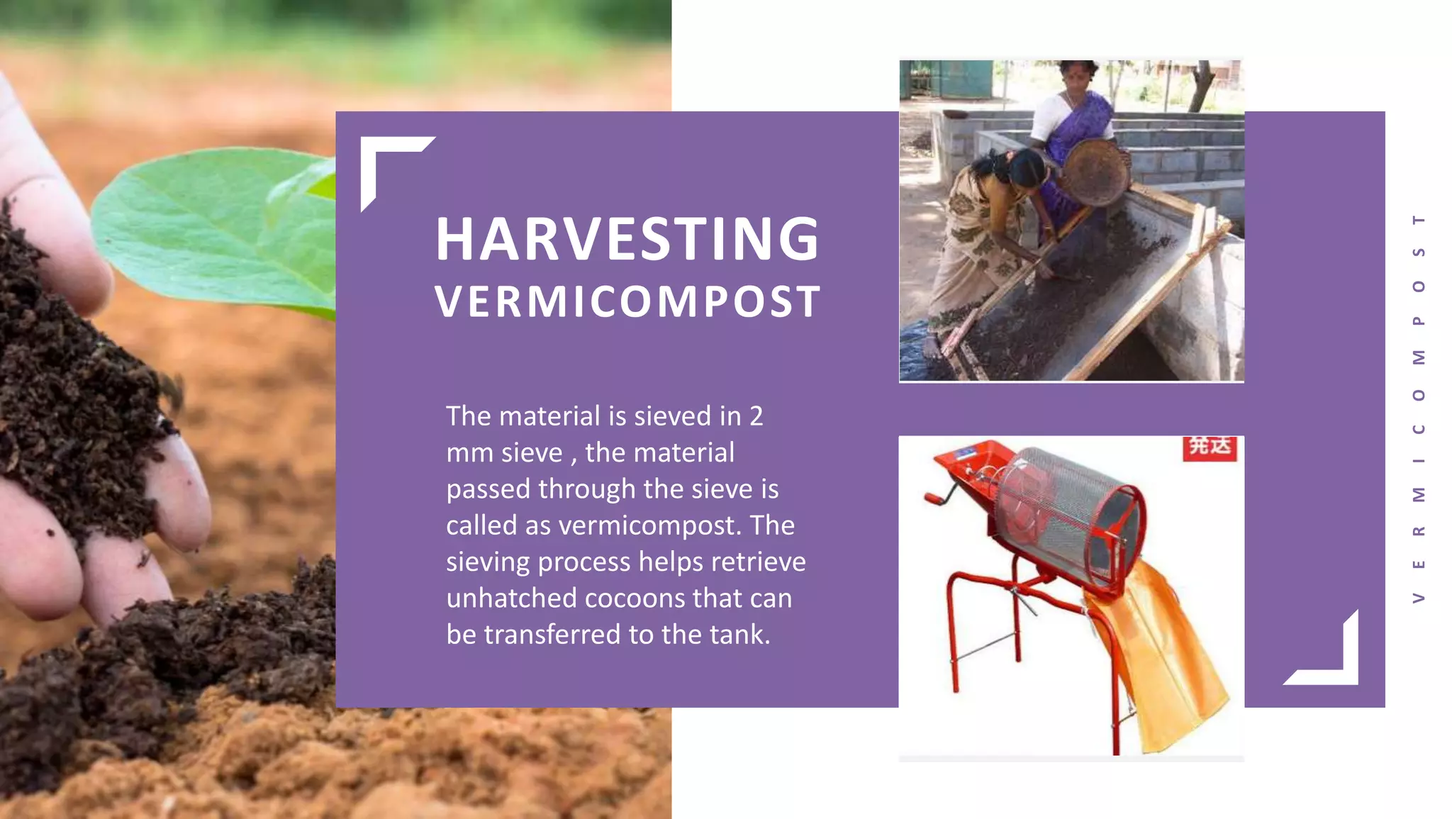 Final presentation "Experiential Learning Programme" | PPTX