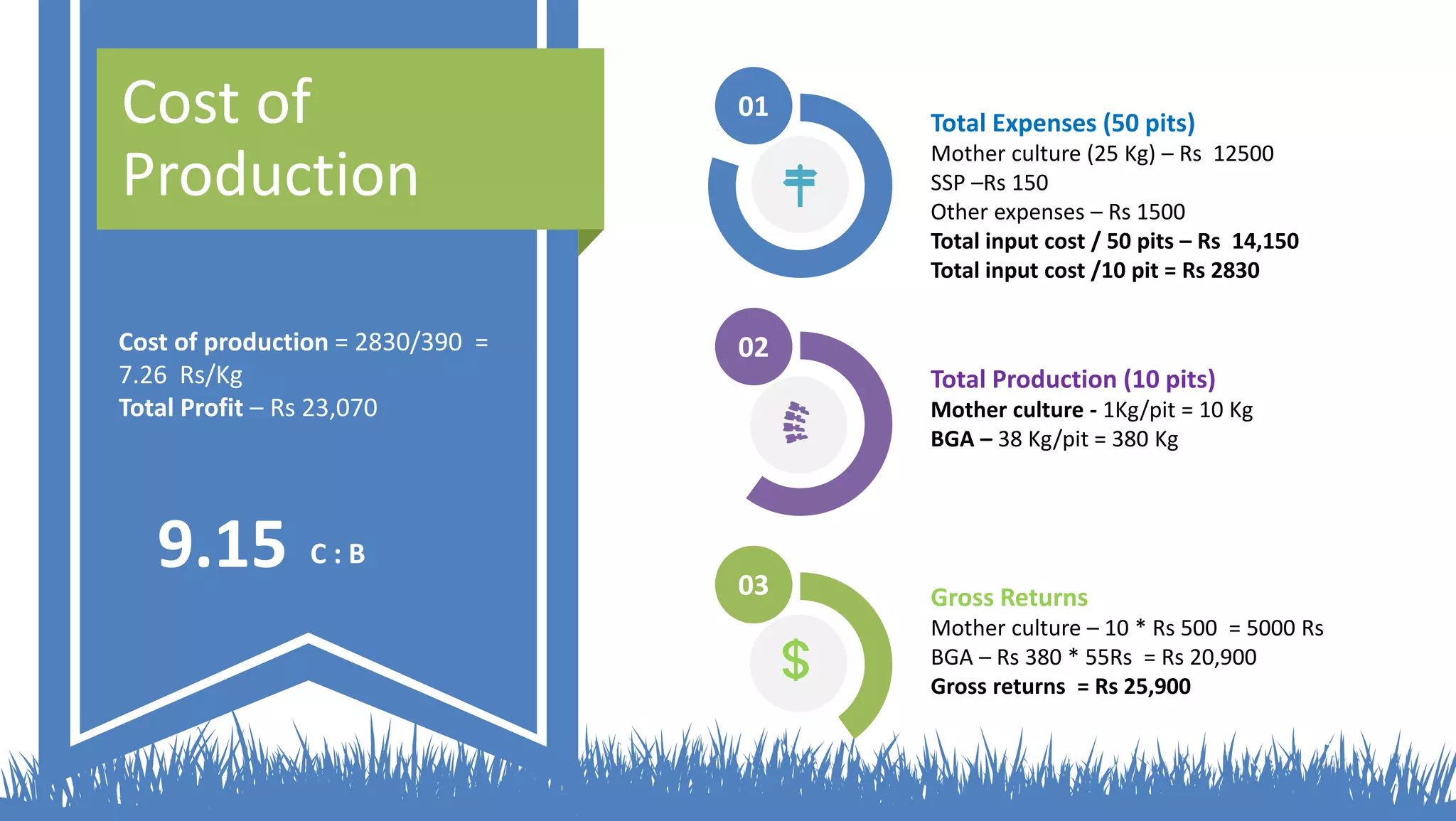 Final presentation "Experiential Learning Programme" | PPTX
