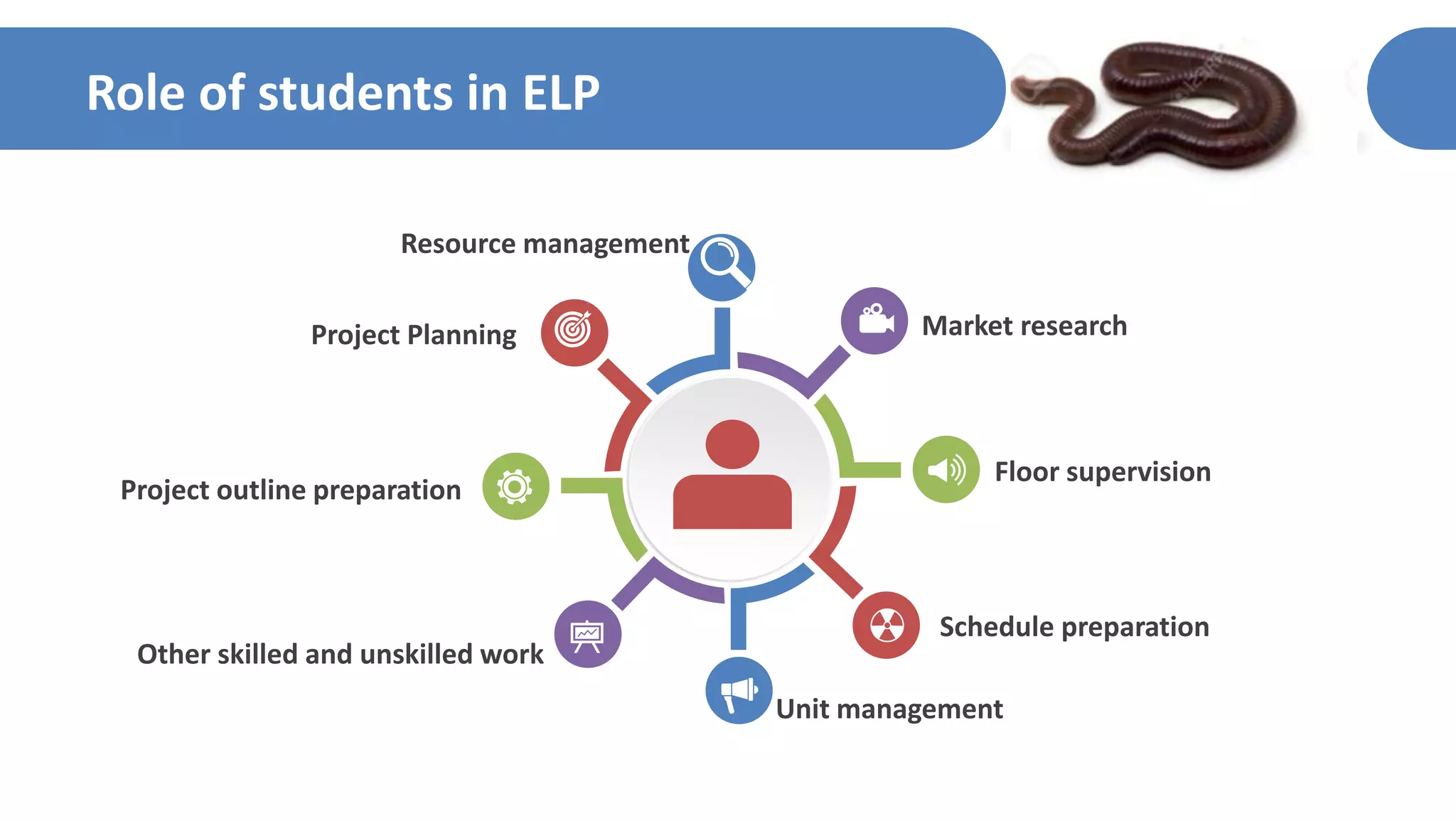 Final presentation "Experiential Learning Programme" | PPTX