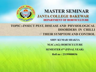 INSECT AND DISEASE PESTs OF CHILLI crop.pptx