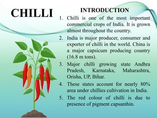INSECT AND DISEASE PESTs OF CHILLI crop.pptx