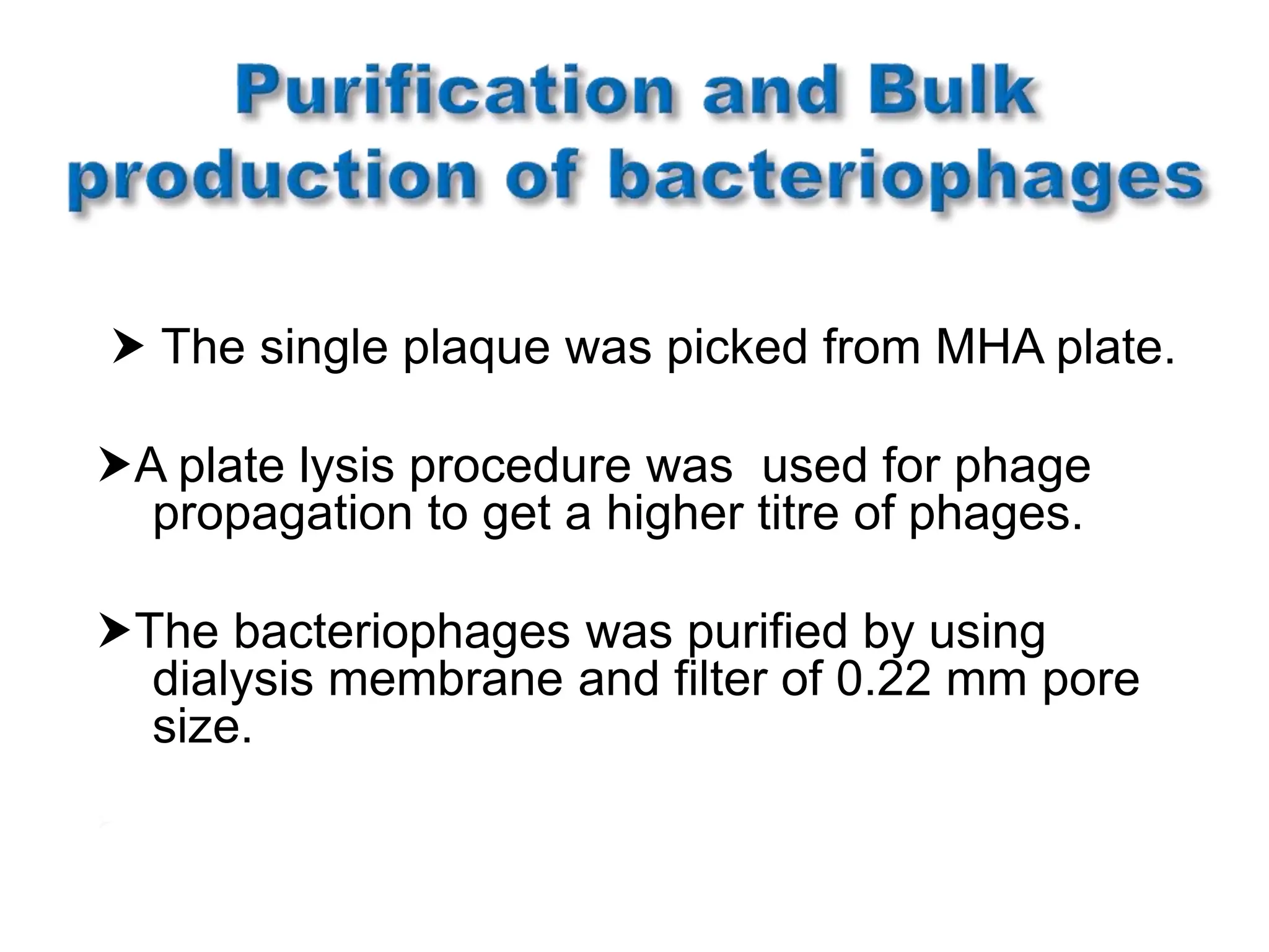 Isolation And Characterization Of Bacteriophages Against Staphylococcus Aureus Ppt Free Download