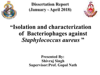 Isolation and characterization of Bacteriophages against Staphylococcus aureus | PPT