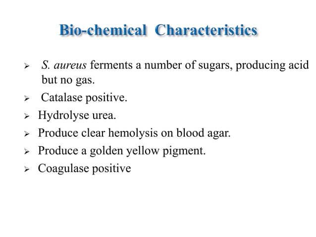Isolation And Characterization Of Bacteriophages Against Staphylococcus Aureus Ppt Free Download