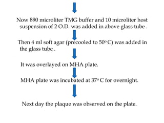 Isolation and characterization of Bacteriophages against Staphylococcus aureus | PPT