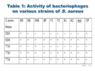 Isolation and characterization of Bacteriophages against Staphylococcus aureus | PPT