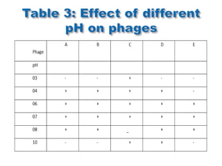Isolation and characterization of Bacteriophages against Staphylococcus aureus | PPT