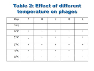Isolation and characterization of Bacteriophages against Staphylococcus aureus | PPT