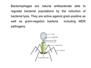 Isolation and characterization of Bacteriophages against Staphylococcus aureus | PPT