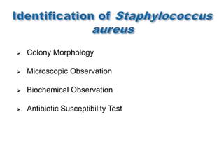 Isolation and characterization of Bacteriophages against Staphylococcus aureus | PPT