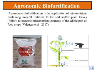 Transgenic crops and its application ppt.pptx