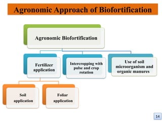 Transgenic crops and its application ppt.pptx