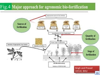 Transgenic crops and its application ppt.pptx