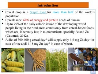 Transgenic crops and its application ppt.pptx
