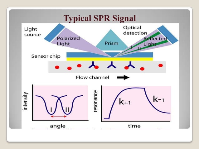 Shiv shankar nair | PPTX