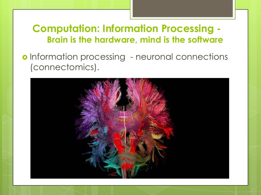 Computation Information Processing Brain