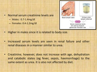 Biochemical Normal Serum Levels