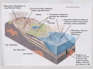 Shkëmbinjtë sedimentarë | PDF