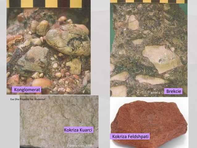 Shkëmbinjtë sedimentarë